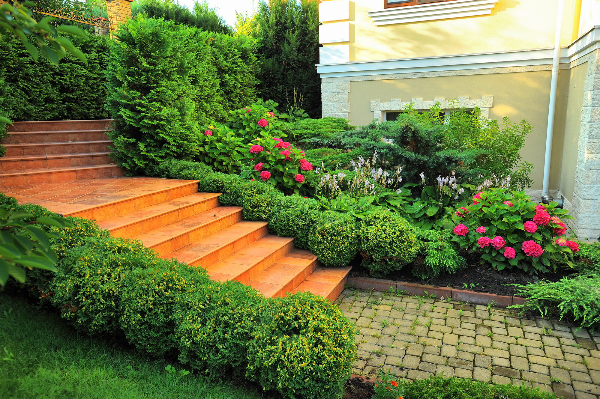 Ground Covers - Northern Lawns